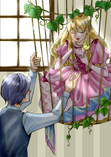 囚われの姫 とらわれのひめ とはピクシブ百科事典