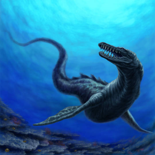 UMA (ゆーま)とは【ピクシブ百科事典】