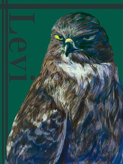 サシバ (さしば)とは【ピクシブ百科事典】