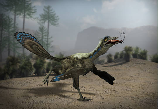 Avialae is... - pixiv Encyclopedia