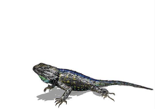 Reptiliomorpha is... - pixiv Encyclopedia