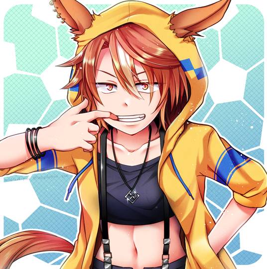 ディクタストライカ(ウマ娘) (でぃくたすとらいか)とは【ピクシブ百科事典】